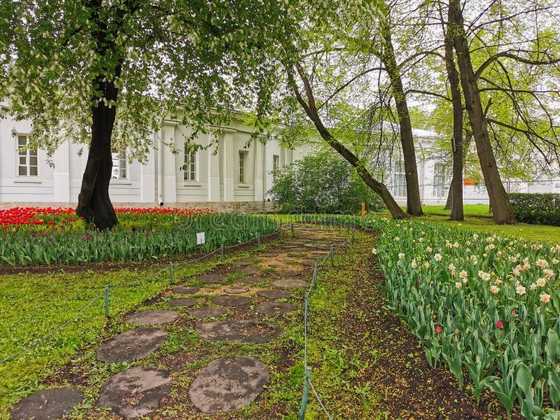 Large Flower Beds with Red and Other Tulips between Them, a Path Laid ...