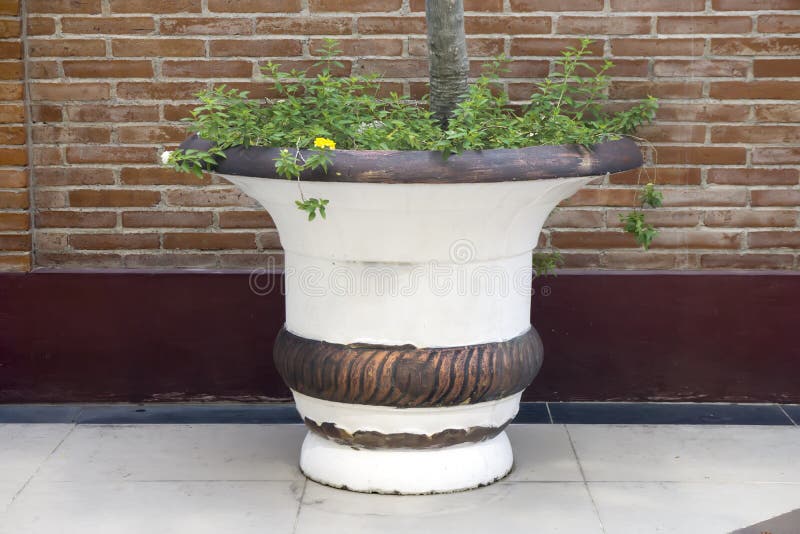 Large Flower Pot Suitable for Small Trees in City Parks Stock Image ...