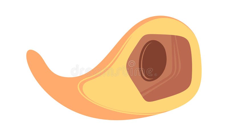 Large Flying Comet Space Body Stock Vector - Illustration of space ...