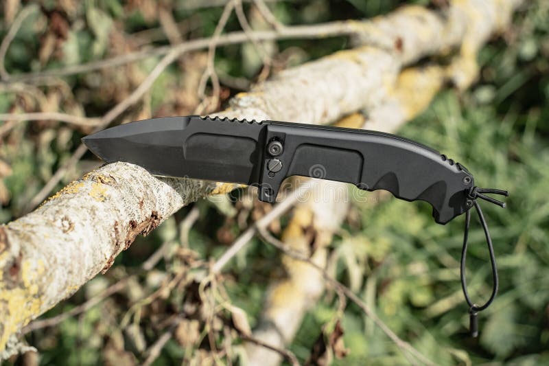 A Large Folding Survival Knife Stuck in a Tree Branch Stock Image ...
