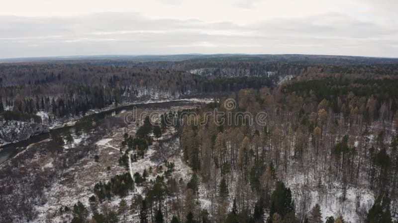 Large Forest Area with a Section of the River Stock Video - Video of ...