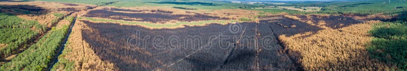 Large Forest Fire Area - Panoramic, Aerial View Stock Photo - Image of ...