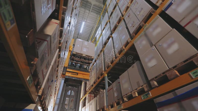 Forklift in a Modern Warehouse. Forklift in the Warehouse Concept. Work ...
