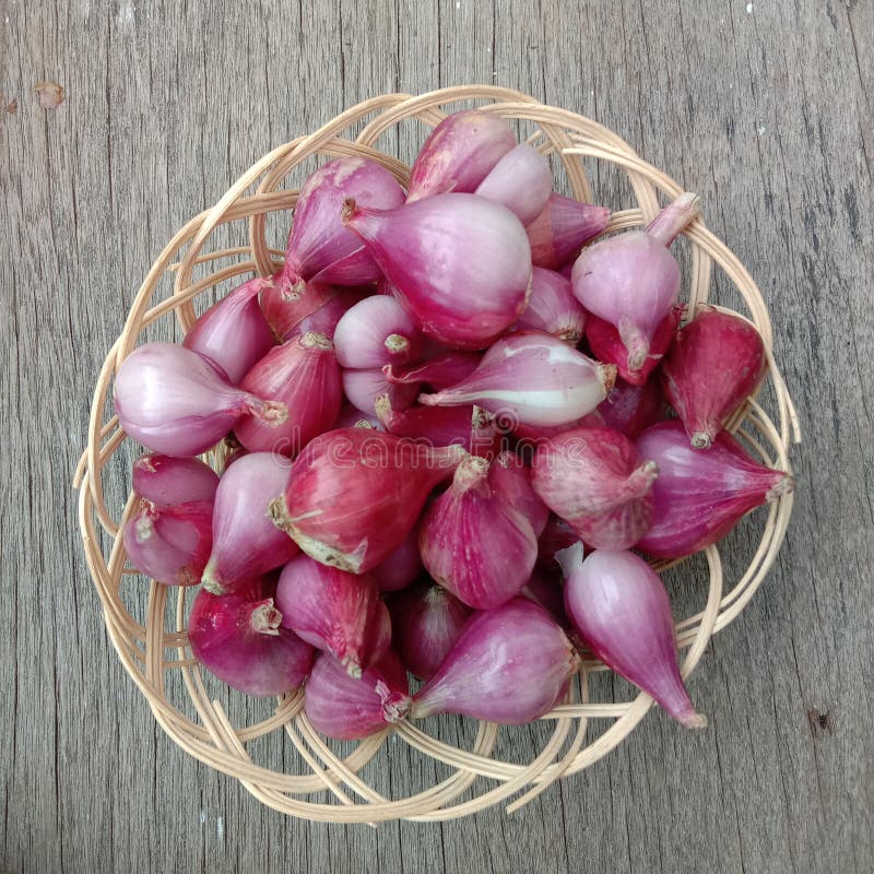 A Large and Fresh Bowl Organic Onion Stock Photo - Image of nature ...