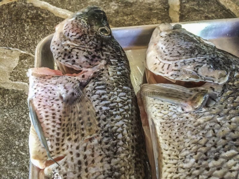Large Fresh Fish at Granada`s Island Stock Image - Image of dinner ...