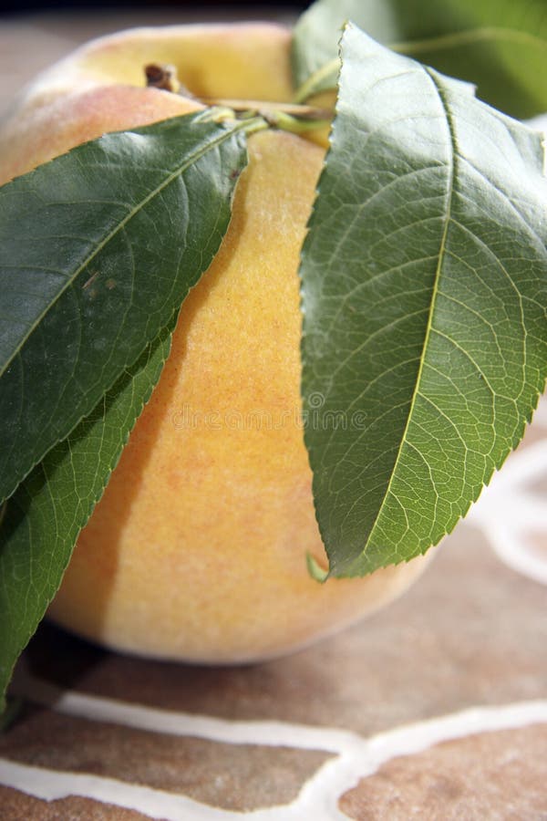 Peach stock photo. Image of yellow, large, offering - 211844218