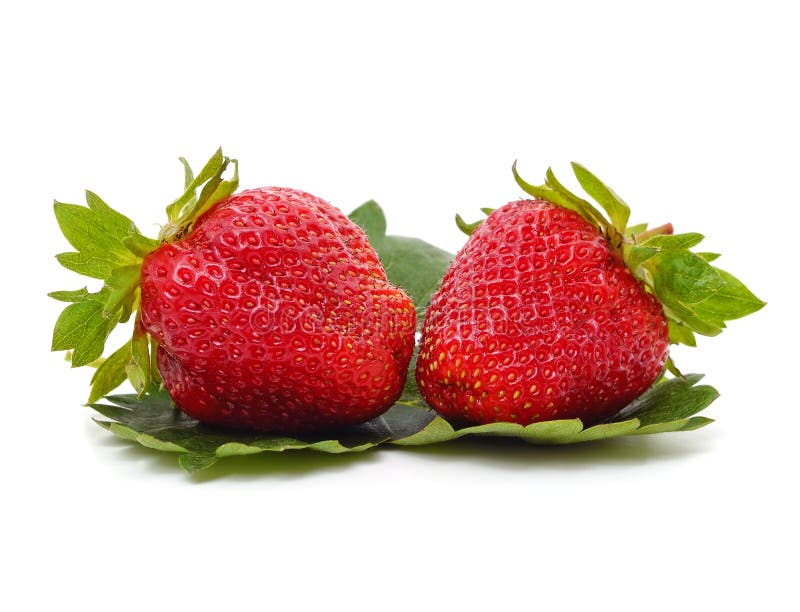 Large fresh strawberry stock photo. Image of isolated - 260205882