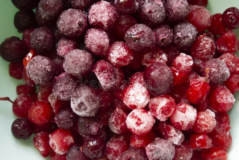 Large Frozen Bright Red Berries Stock Photo - Image of frost, cold ...