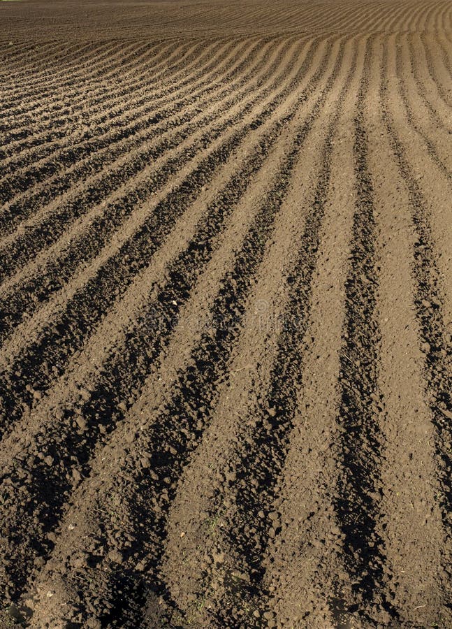 Large Furrows in a Plowed Field for Spring Planting, Vertical View ...