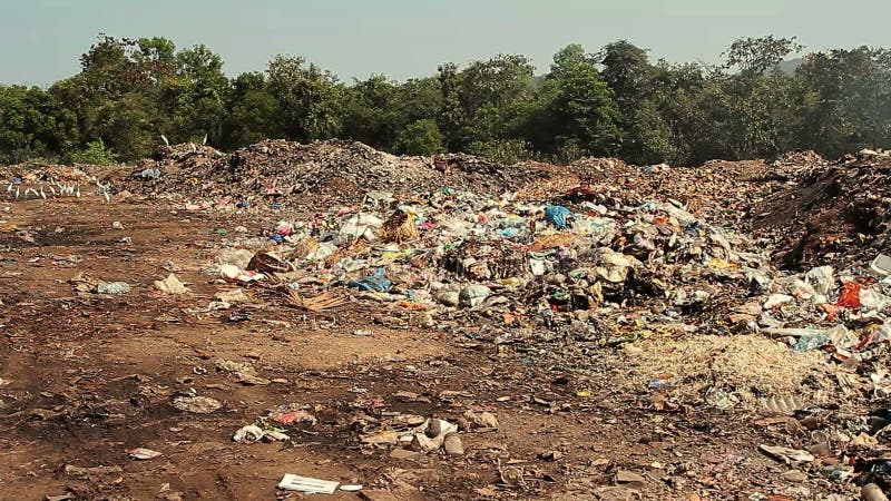 Garbage Dump Waste with Smoke at Sunny Day Stock Video - Video of ...