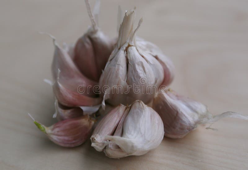A Set of Garlic Teeth with Green Sprouts Isolated on White. the Garlic ...