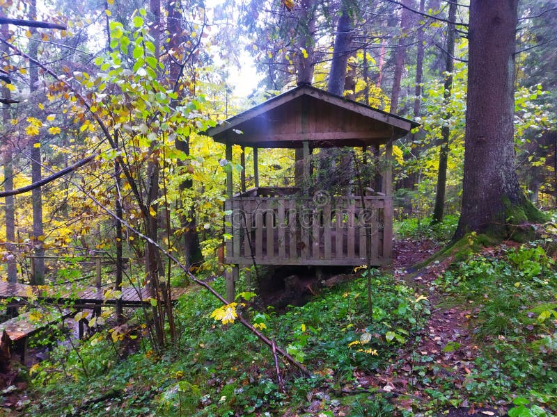 Large gazebo in the forest stock image. Image of landscape - 207876557