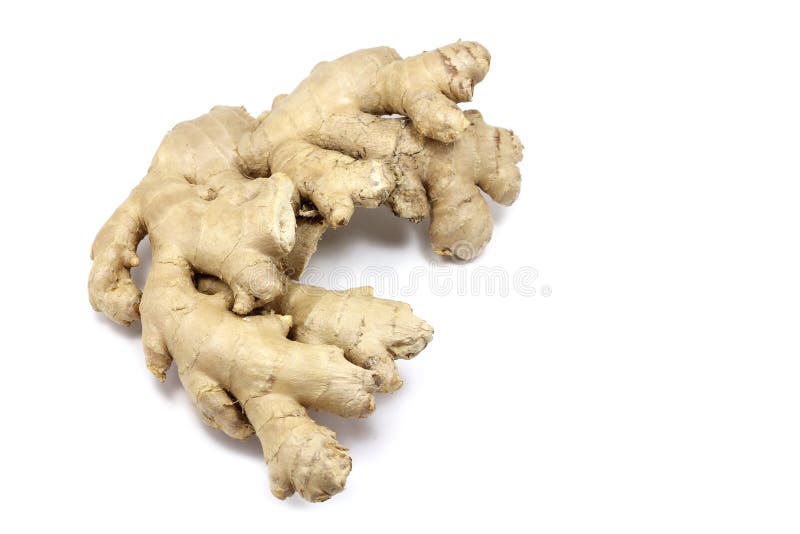 Large ginger root stock image. Image of background, natural - 38815639