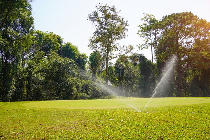 A Large Golf Course with a Perfectly Manicured Lawn. the Lawn Needs ...