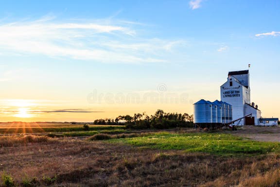 A Large Grain Silo is in the Background of a Field Stock Photo - Image ...