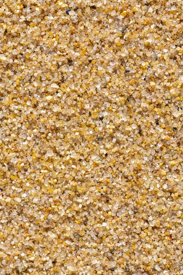 Large grains of sand stock photo. Image of large, ocean - 220335166