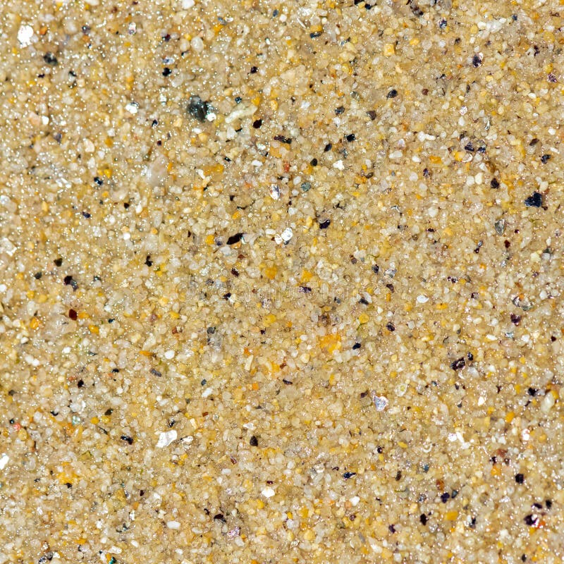 Large grains of sand stock image. Image of grains, beach - 231812003