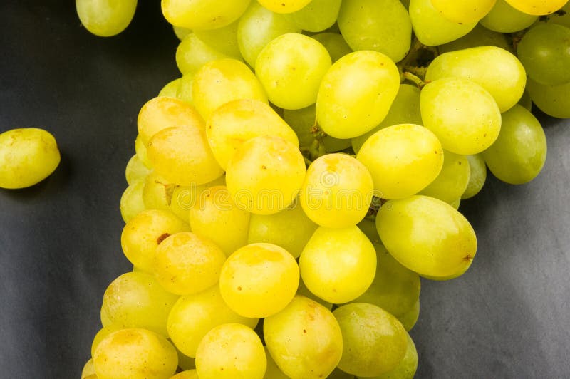 Large grapes cluster stock image. Image of branch, alcohol - 84666127