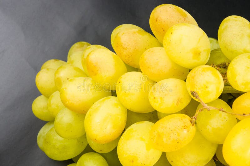 Large grapes cluster stock photo. Image of green, grapevine - 84683978