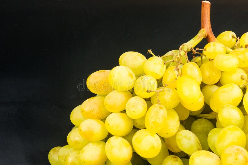 Large grapes cluster stock image. Image of cluster, drop - 84679891