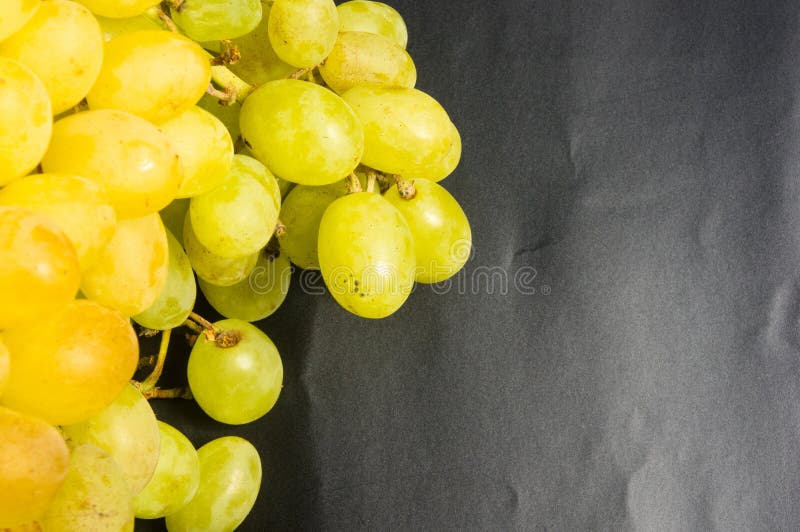 Large grapes cluster stock image. Image of growth, aged - 86072187