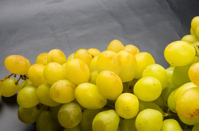 Large grapes cluster stock photo. Image of harvest, fermented - 89593266