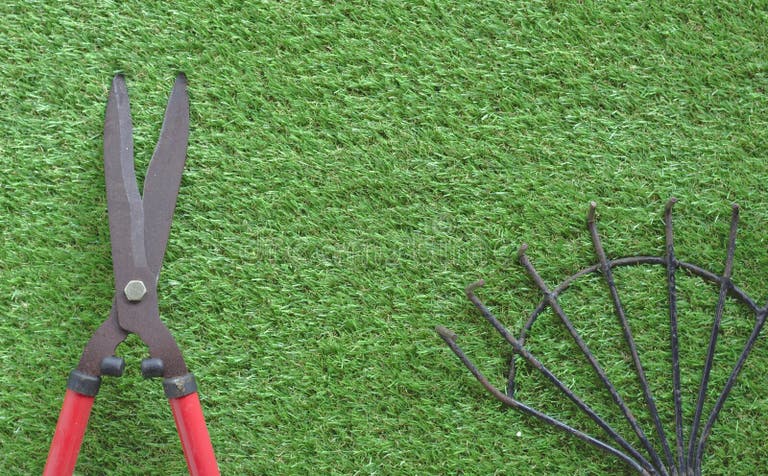 Large Grass Cutting Scissors, Red Handle, Steel Rake on Grass Stock ...
