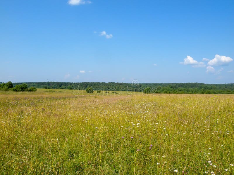Large grass field stock photo. Image of cloud, hill - 133102902