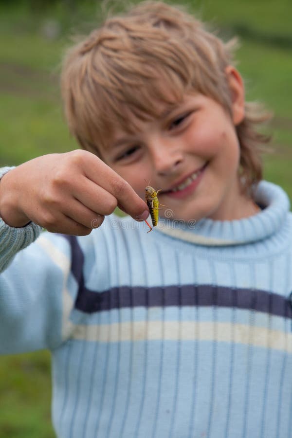 Boy Tickle Organism Stock Photos - Free & Royalty-Free Stock Photos ...