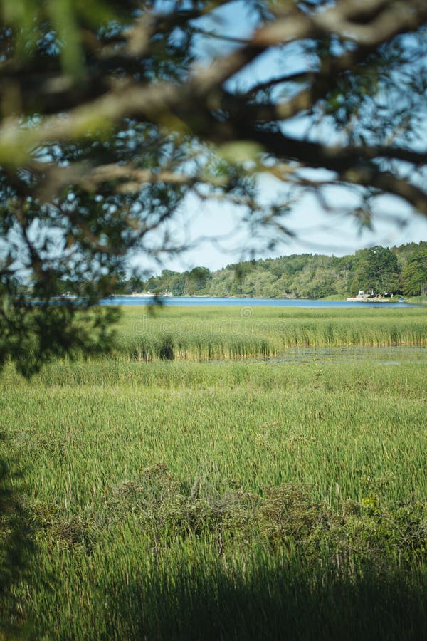 A Large Grassy Area with a Long Building on the Other Side Stock Photo ...