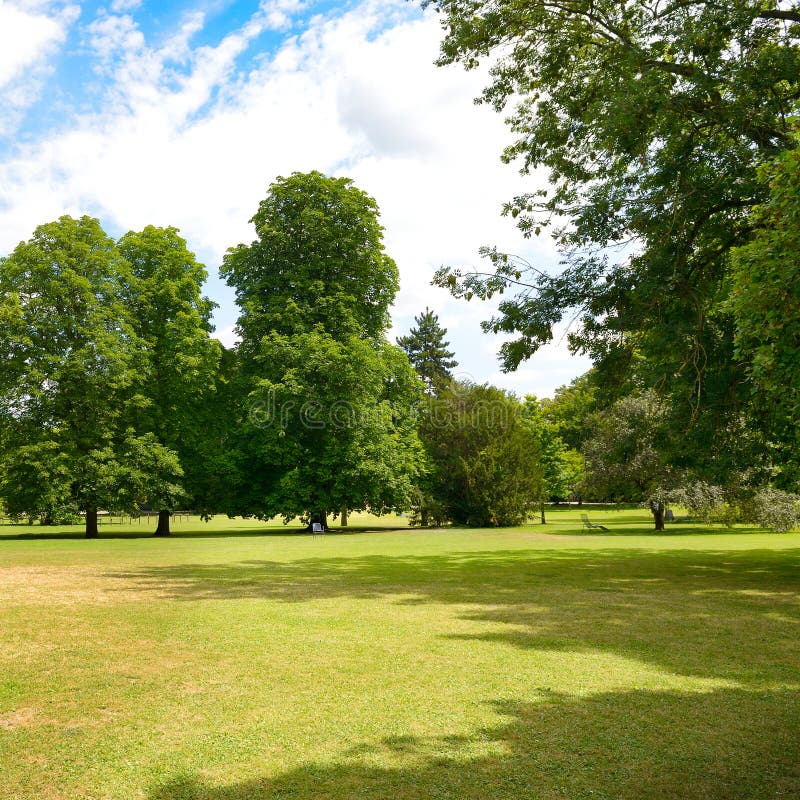 Large Grassy Meadow in Summer Park Stock Image - Image of agriculture ...