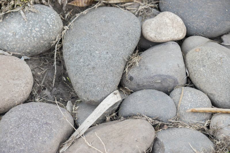 Large Gray Stones in the Garden. Shingle Stock Photo - Image of mineral ...