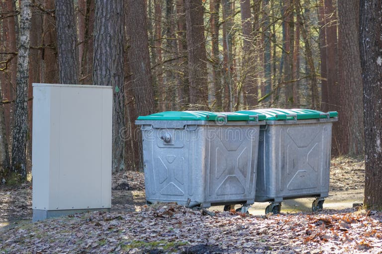 .a Large Gray Waste Container with a Green Lid Placed on a Forest Path ...