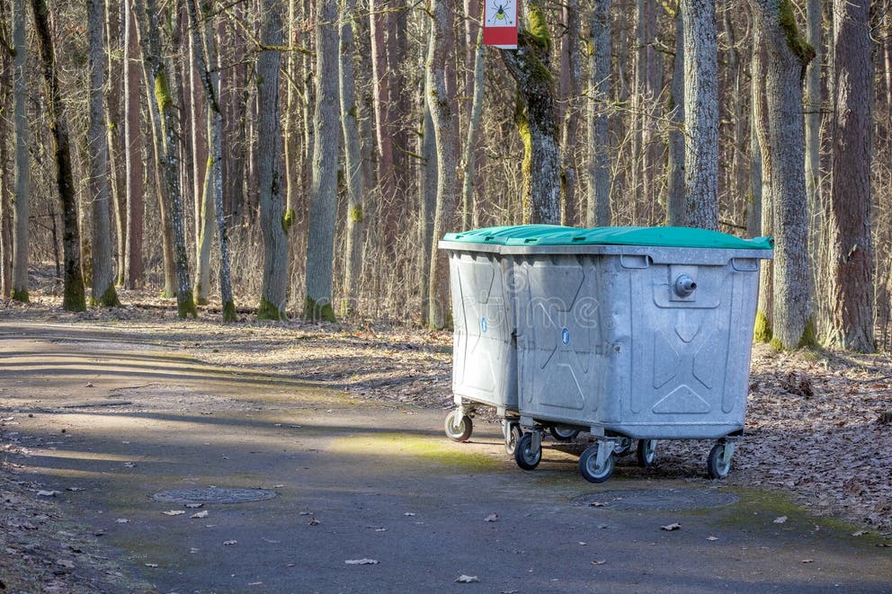.a Large Gray Waste Container with a Green Lid Placed on a Forest Path ...