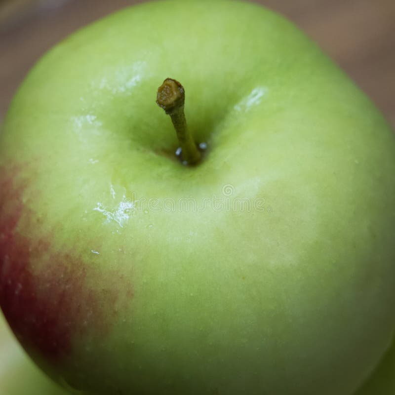 A Large Green Apple, a Close-up Shot. a Wet Apple Stock Image - Image ...