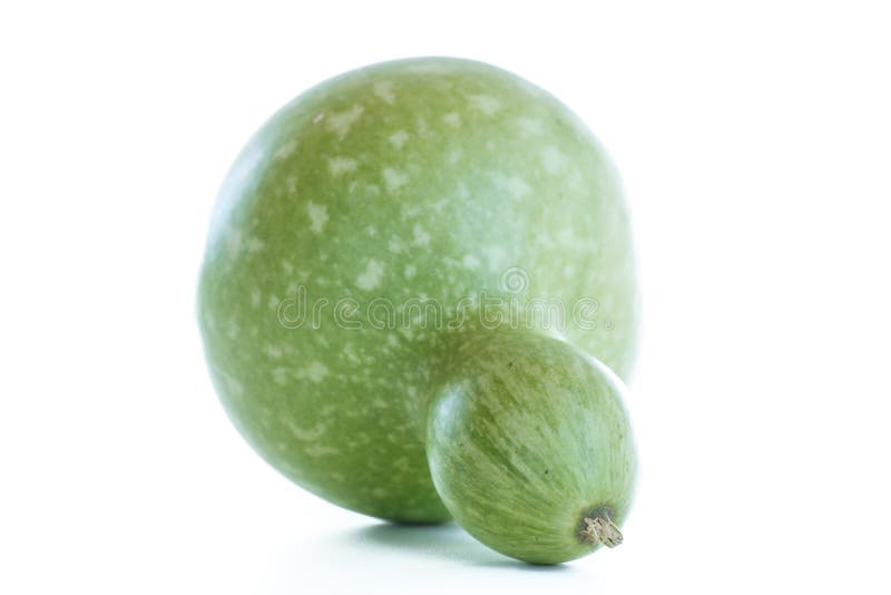 Large green bottle gourd stock image. Image of food, farm - 76670157