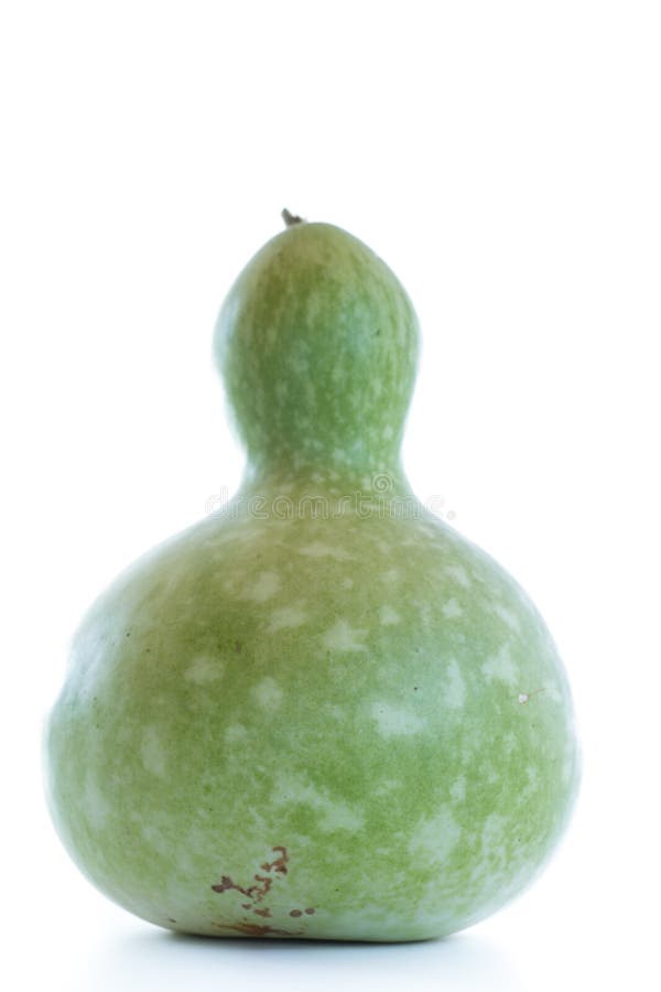 Large green bottle gourd stock image. Image of close - 76670193