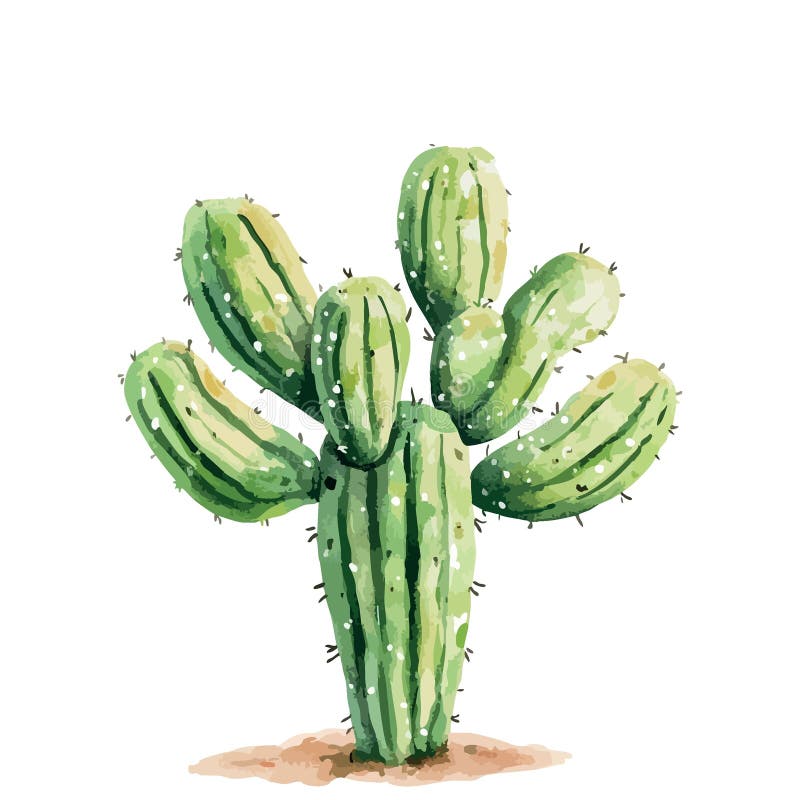Large Green Cactus with Many Spines. the Cactus is in the Center of the ...