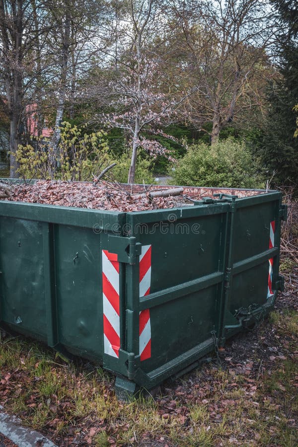 A Large Green Container is Completely Filled with Leaves Stock Photo ...
