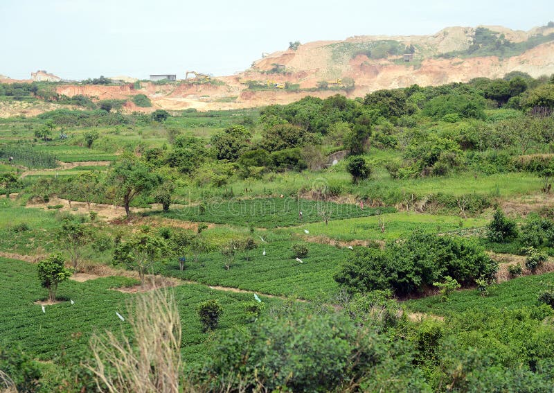 Large green farm land stock photo. Image of growing, agricultural ...