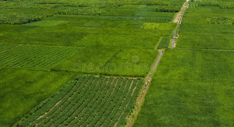 Large green farm land stock photo. Image of harvest, background - 32610744