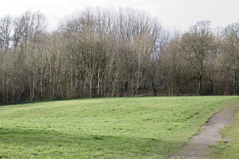 Large Green Field in a Forest with a Stone Path Stock Photo - Image of ...