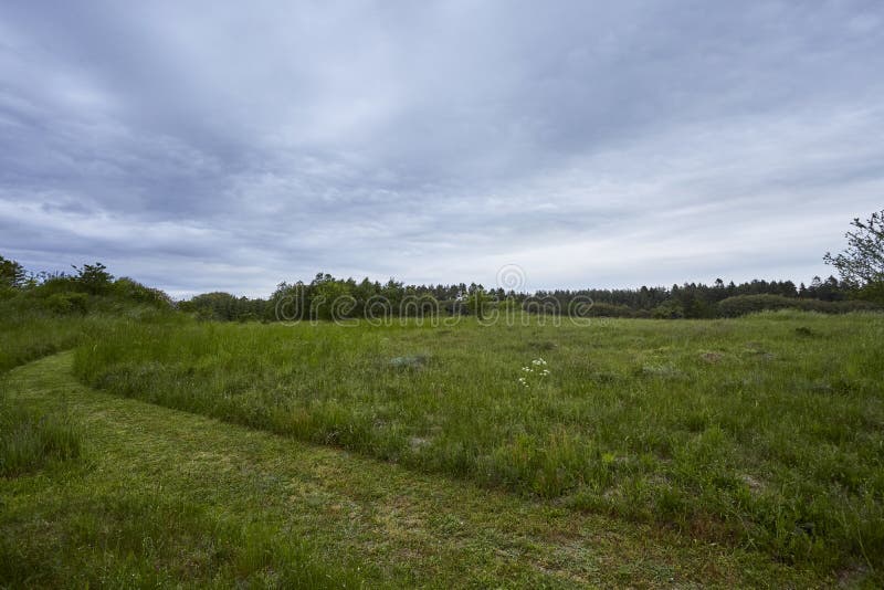 Large Green Field with Grass and Trees Stock Image - Image of sunbeam ...