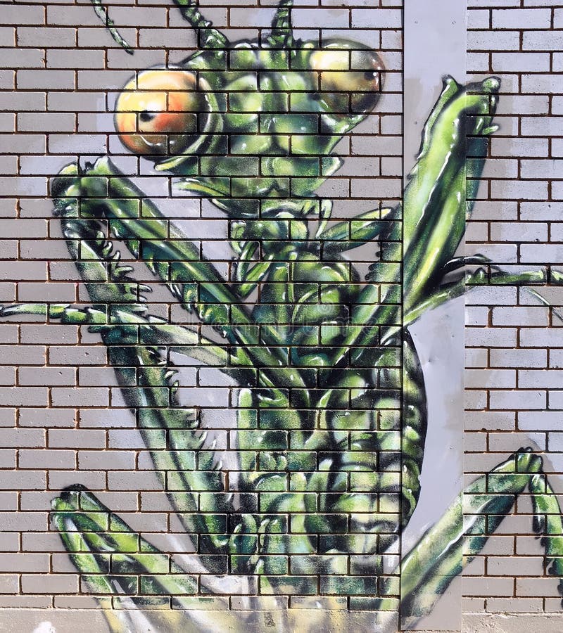 Large Green Flying Bug, Graffiti Editorial Photography - Image of ...
