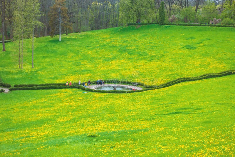 Large Green Meadow with a Fountain in the Park Stock Image - Image of ...