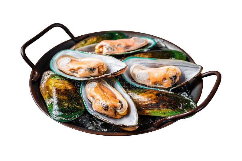 Large Green Mussels in Shells on Tray with Ice. Isolated on White ...