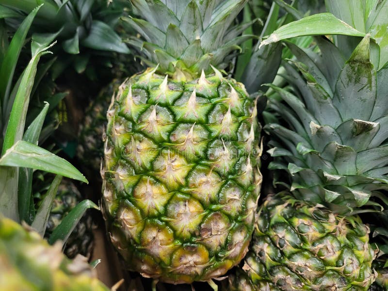 Large Green Pineapple Pile Store Shelf Stock Photos - Free & Royalty-Free Stock Photos from ...