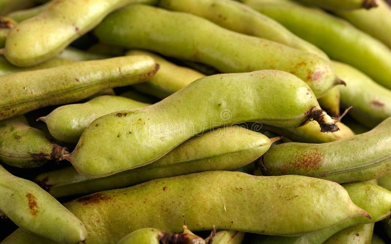 Large Green Pods of Large Beans in a Box. Stock Image - Image of french ...
