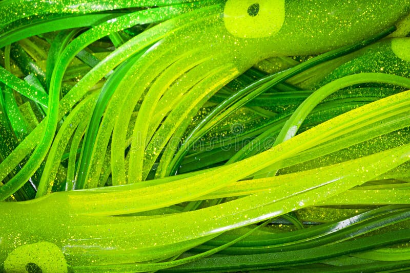 Large Green Squid stock photo. Image of fishing, artificial - 49159160