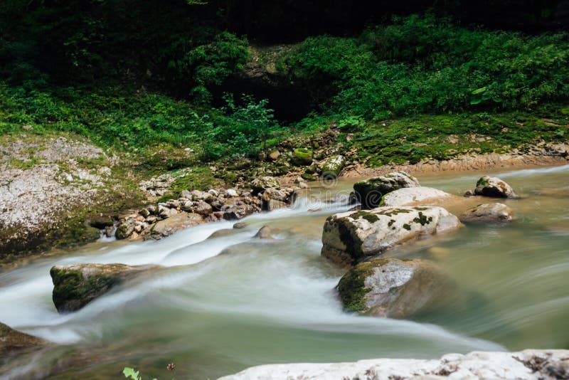 Large Green Trees with Rocks and a River Stock Image - Image of travel ...